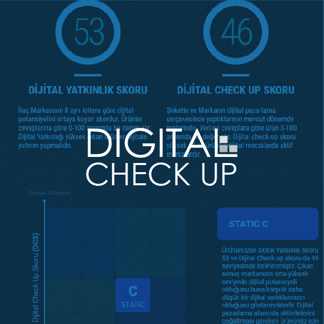 Digidea: Video Meetings, Motion Graphics, Custom Web Portals