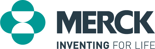 Digidea: Video Meetings, Motion Graphics, Custom Web Portals